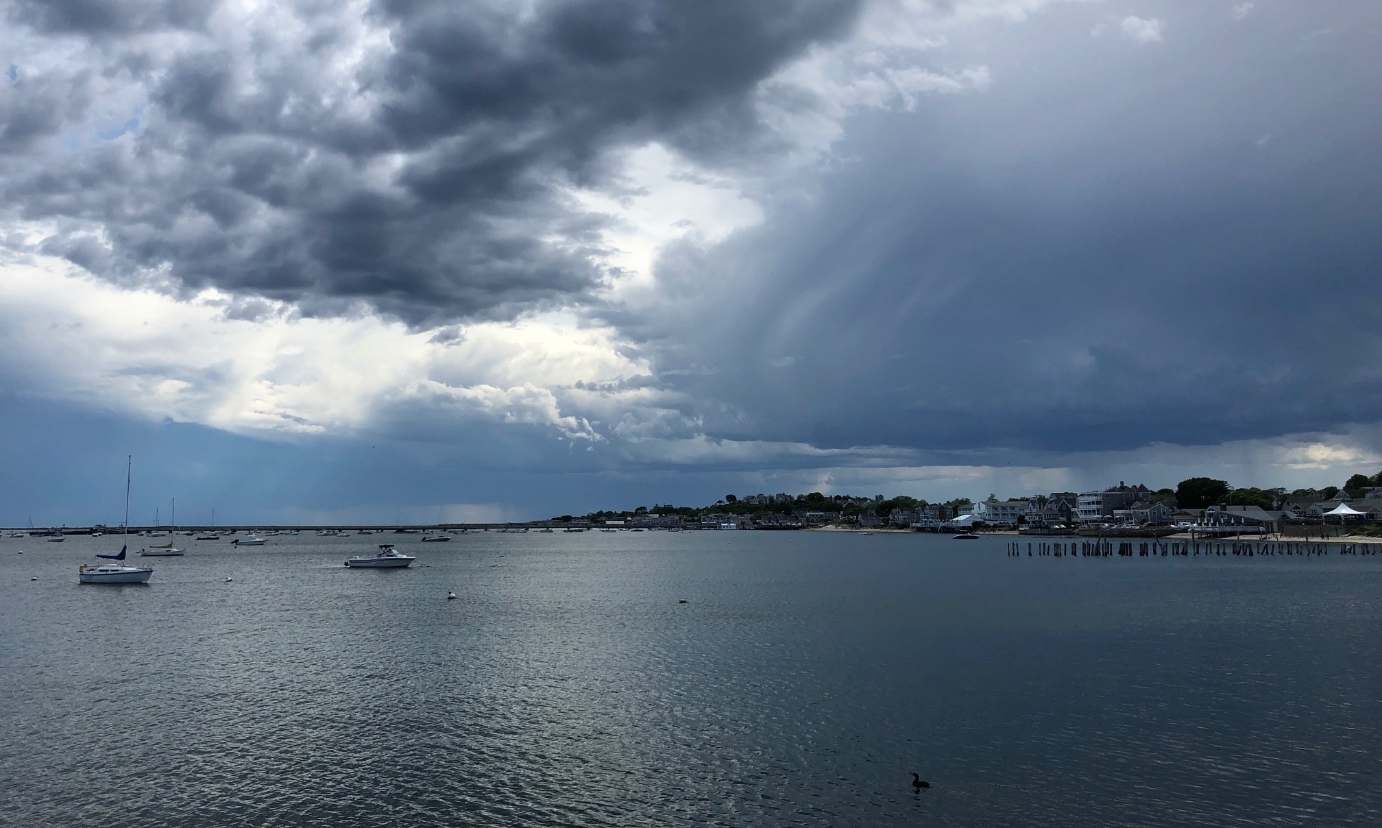 A Port in the Storm - Well-Schooled