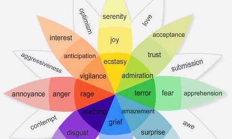 Unmasking Our Emotions - Well-Schooled